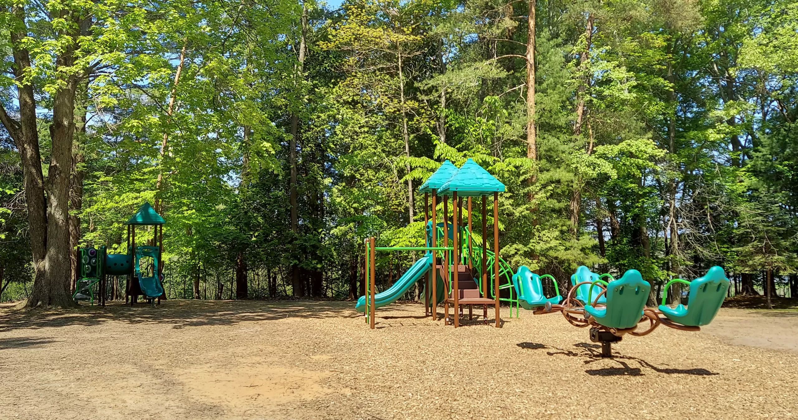 Memorial Tree Park - Pure Ludington