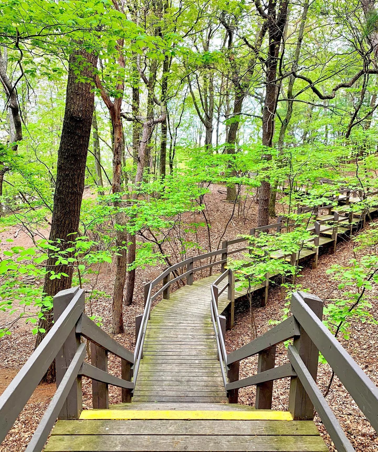 Friends of Ludington State Park Guided Hike - Pure Ludington