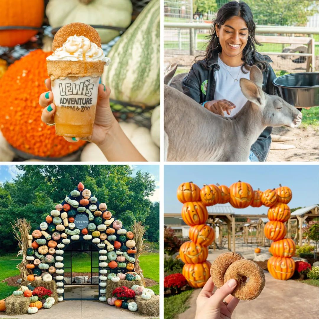 Fall Fest at Lewis Adventure Farm & Zoo - Pure Ludington